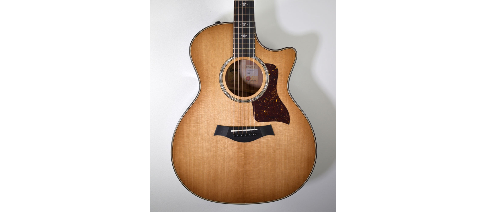 Taylor 514CE Urban Ironbark |nieuw model 500-series| Dijkman Muziek
