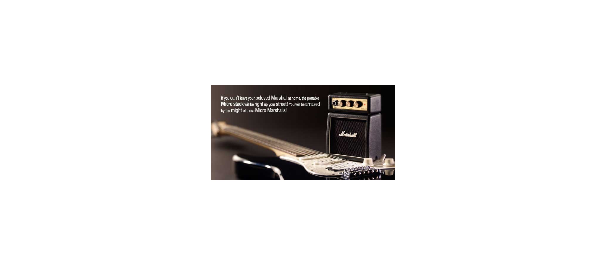 Marshall MS2 Mini Half Stack | Combo versterker | Dijkman