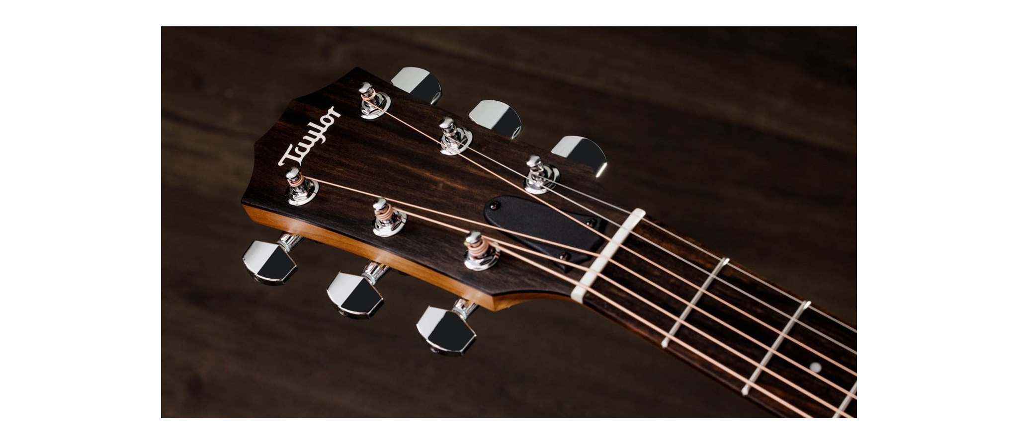 Taylor 110CE-S | met ES2 pickup | DijkmanMuziek
