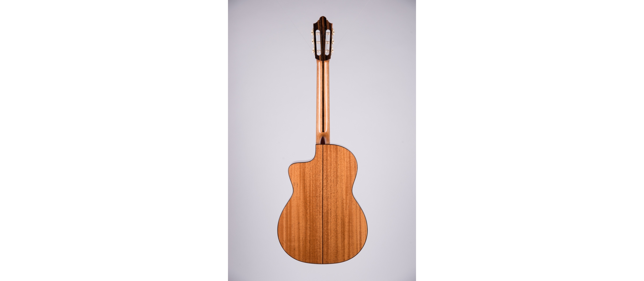 Duke Konzert C Cut Air MiSi Trio Air Pickup System | DijkmanMuziek