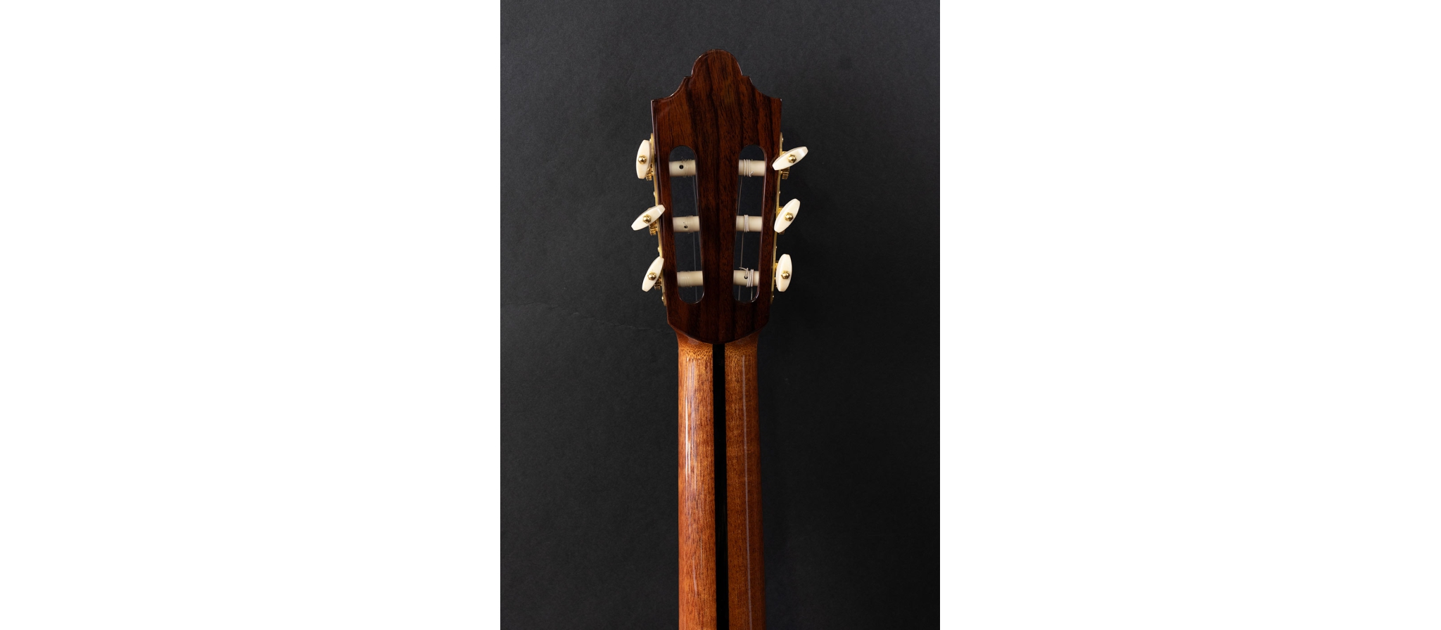 Duke Konzert F Cut Air MiSi Trio Air Pickup System | DijkmanMuziek