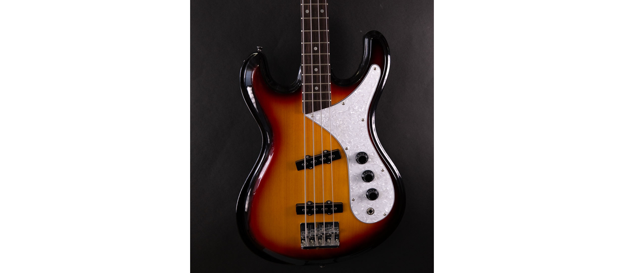 Basgitaar kopen? DijkmanMuziek heeft een grote collectie!